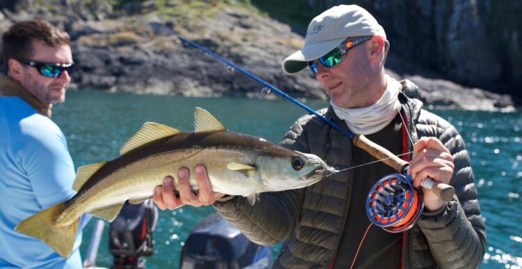 Sea Fishing Trips Scotland Archives | Alba Game Fishing
