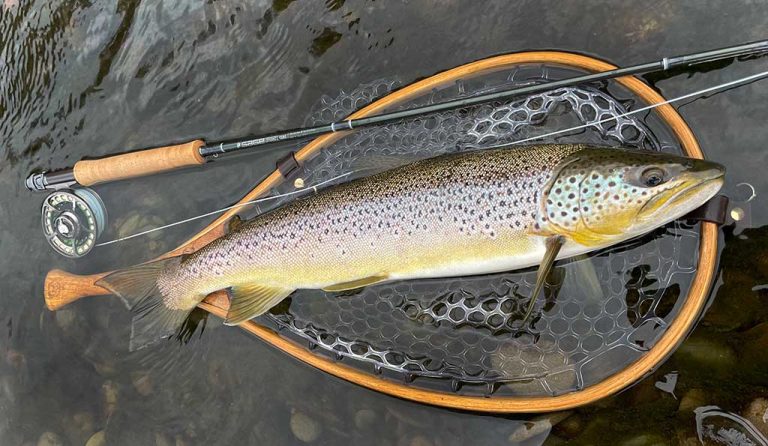 The best lochs and rivers in Scotland for fishing – Alba Game Fishing