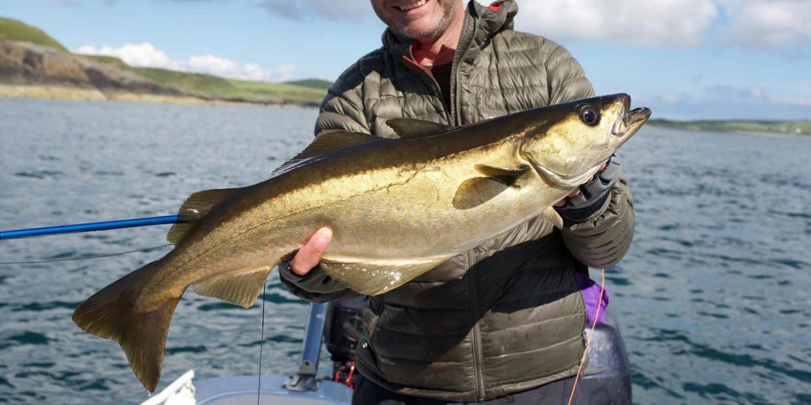 Fish Species in Scotland – Alba Game Fishing
