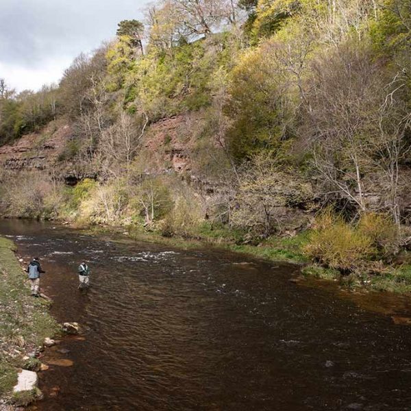 Salmon and Trout Grayling Fishing River Whiteadder – Alba Game Fishing
