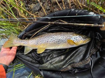 Fishing Whiteadder for sea trout, salmon, grayling and trout