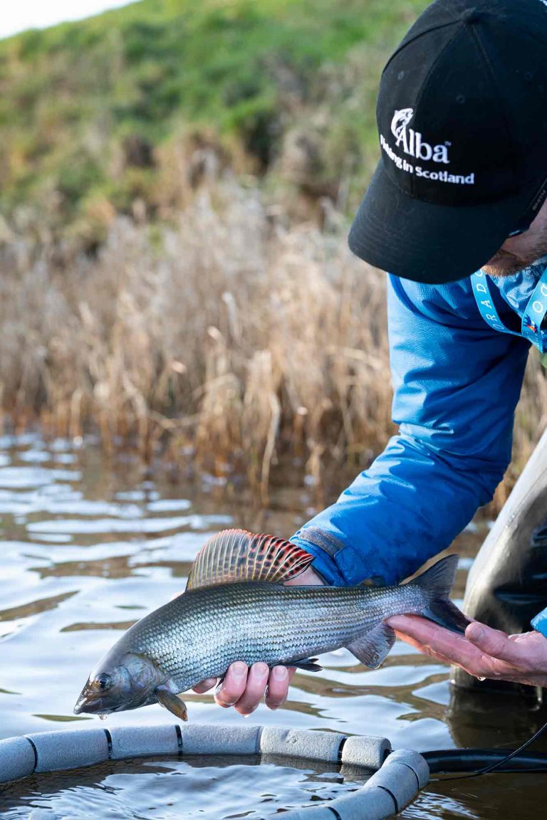 Learn The Best Techniques for Grayling Fishing In Scotland's Rivers ...