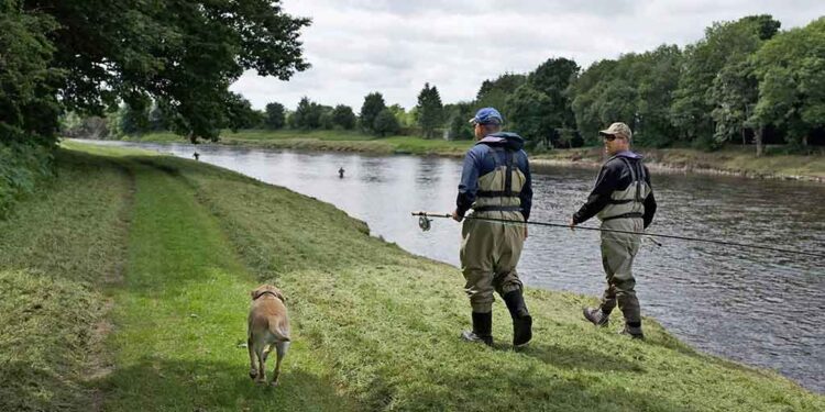 Fishing the River Tay: a 2025 guide | Alba Game Fishing
