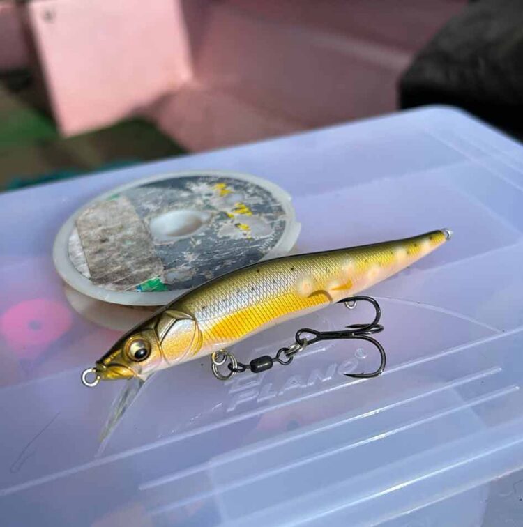 Top tips for salmon fishing on the River Tay | Alba Game Fishing